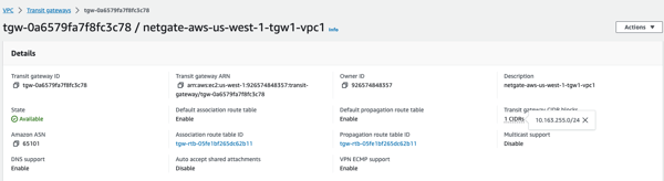 TNSR High-Performance Router & VPN Concentrator in AWS with Transit Gateway