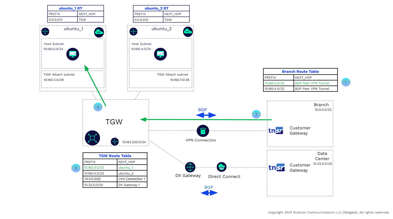 TNSR High-Performance Router & VPN Concentrator in AWS with Transit Gateway