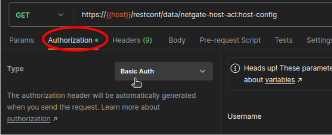Setting Up Postman for TNSR Management via API: a Step-by-Step Guide