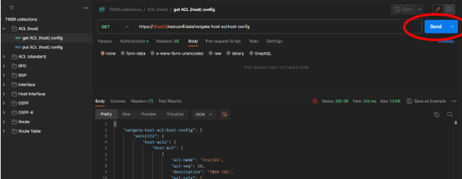 Setting Up Postman for TNSR Management via API: a Step-by-Step Guide