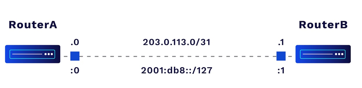Using TNSR® Software to Conserve Address Space and Improve Security